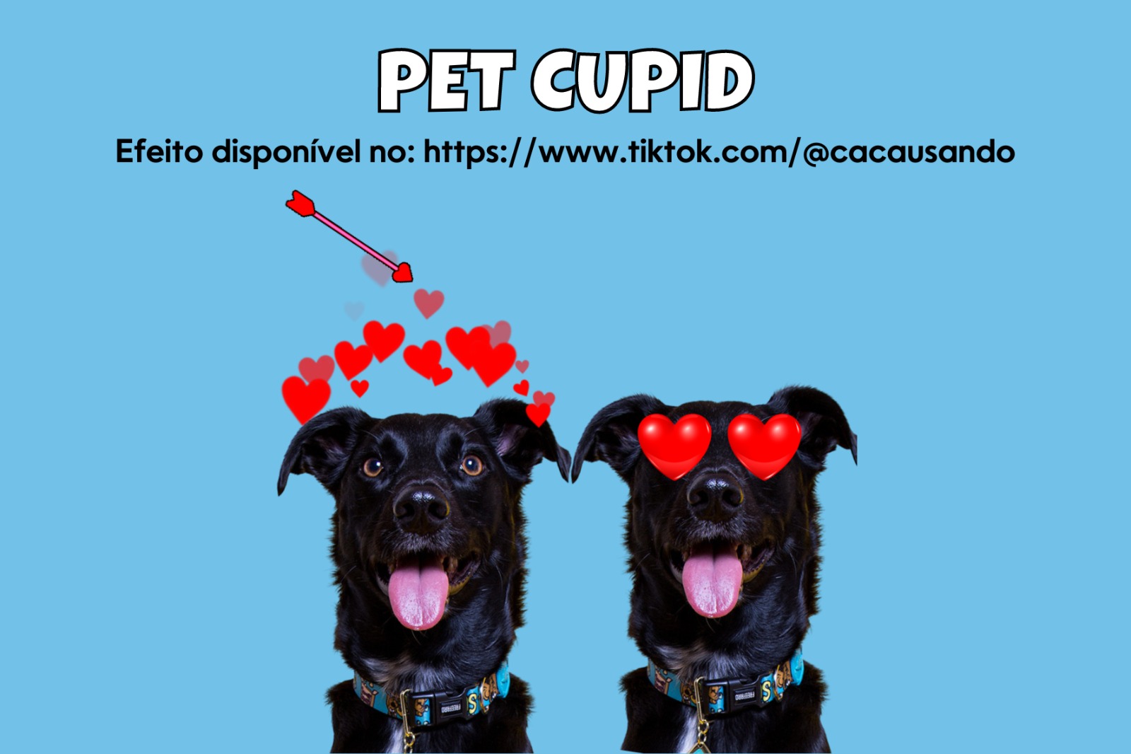 Em clima de Dia dos Namorados, Cacausando lança o efeito “Pet Cupid” no ...
