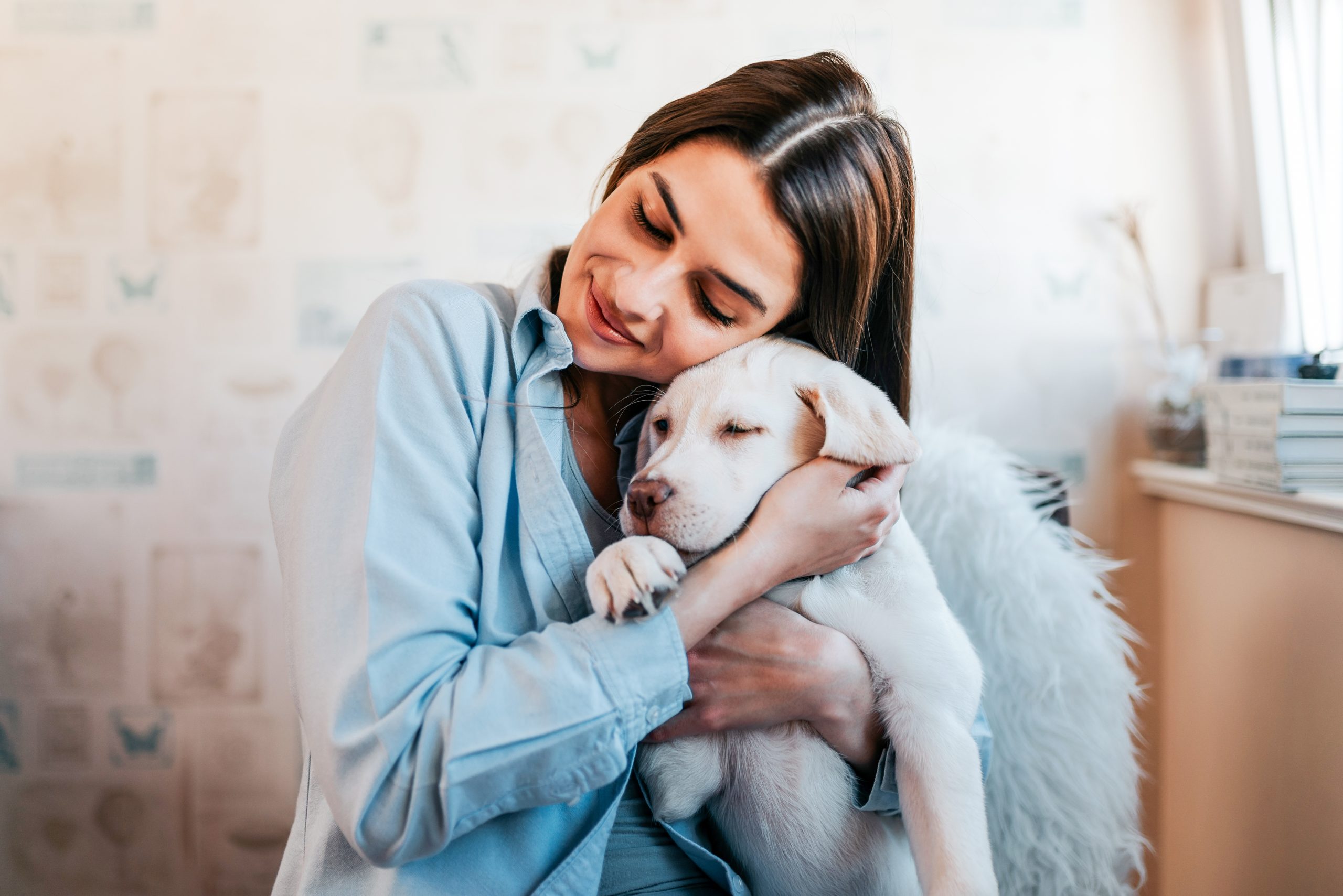 Europ Assistance reforça compromisso com a saúde e bem-estar dos pets ...